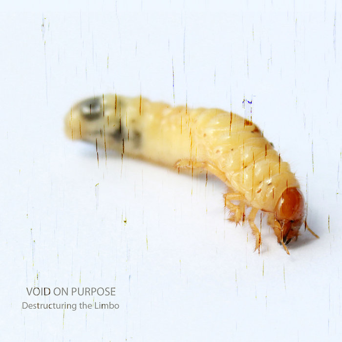 Destructuring the Limbo | Void On Purpose