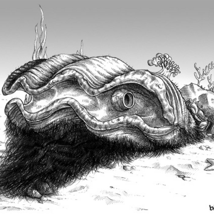 Touch My Bearded Clam | beanbeatz