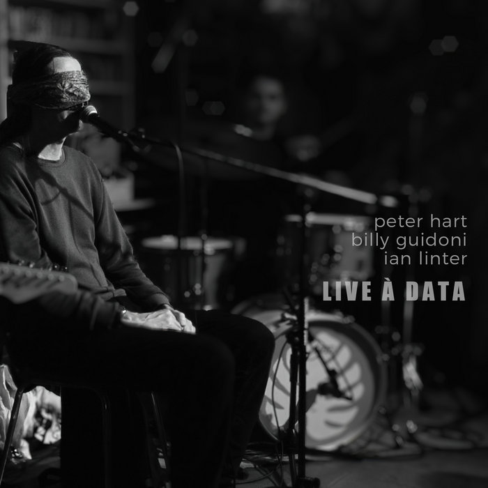 Live à DATA | Peter Hart, Billy Guidoni et Ian Linter | Peter Hart