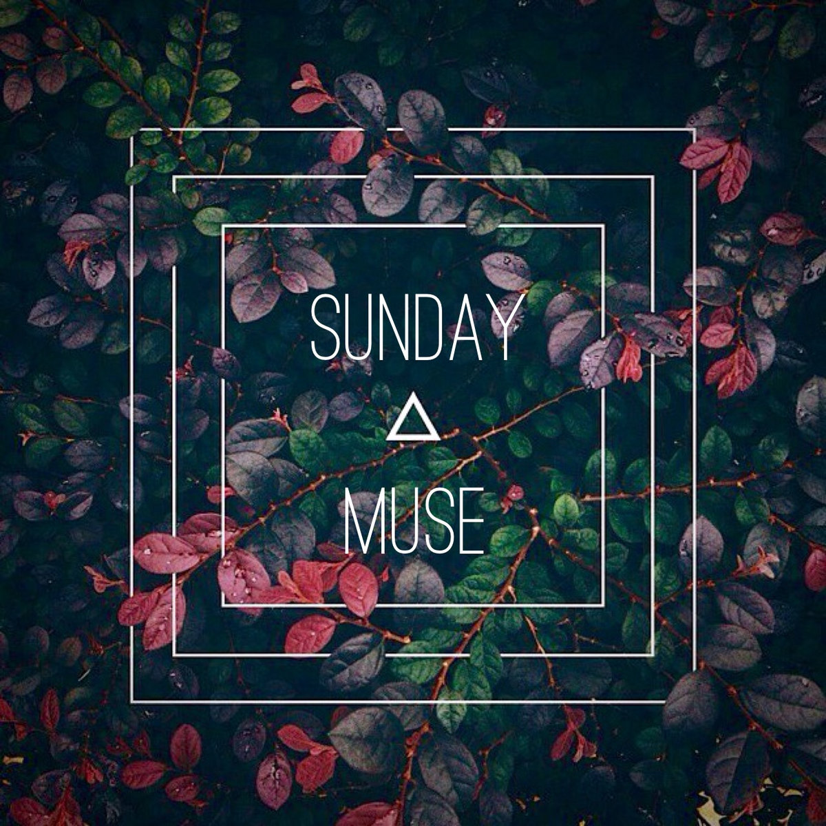 SUNDAY MUSE EP | BAYROO BURNER