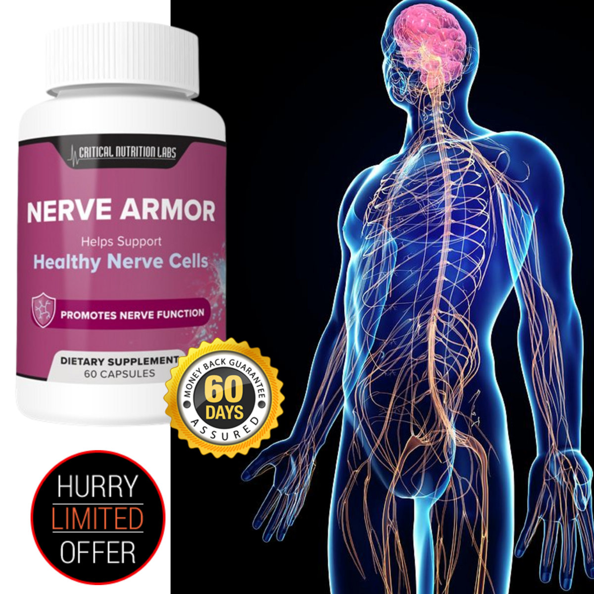 Nerve Armor (Pay Day Sale 2025) Support Neurological System, Promotes ...