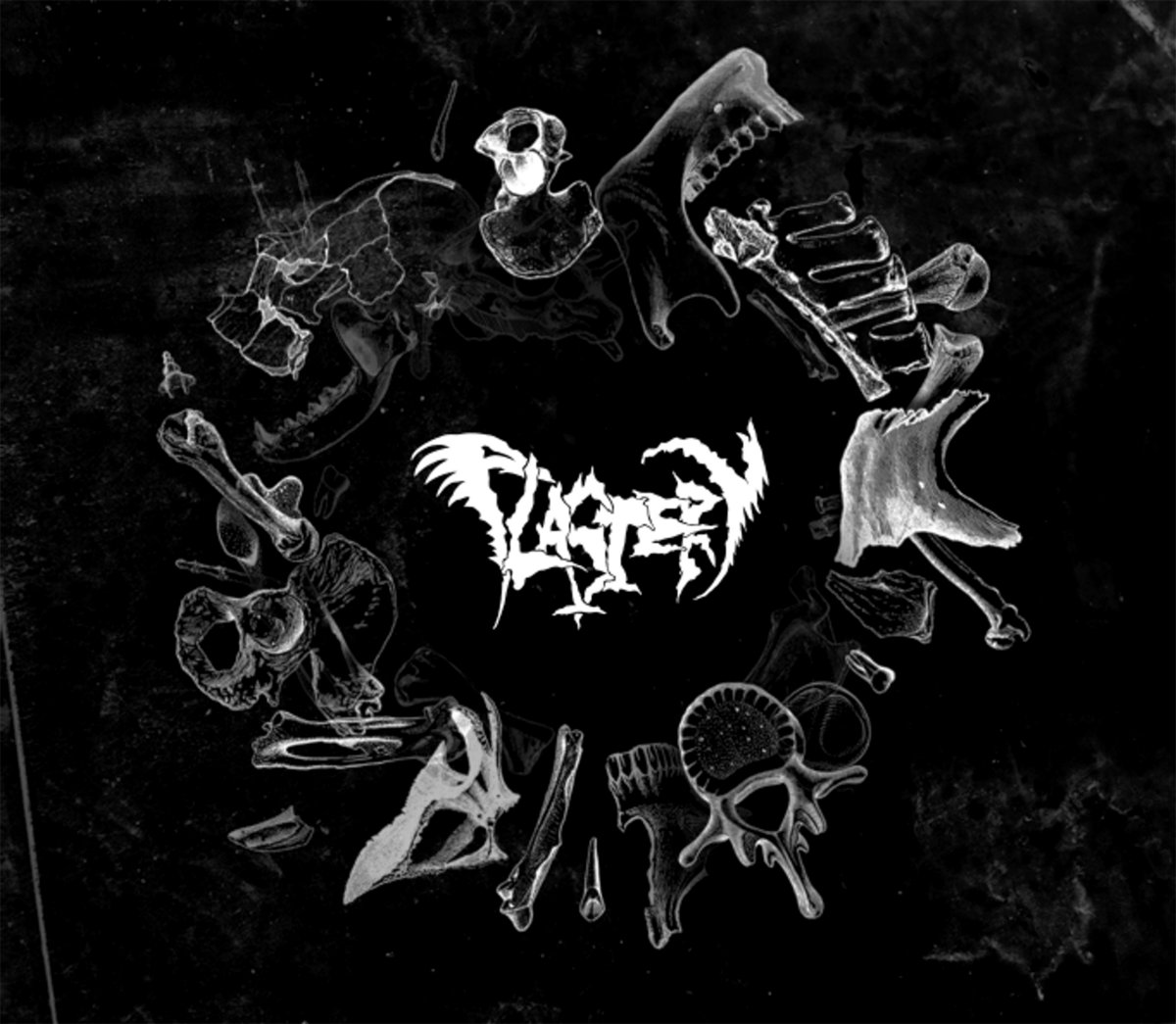 Devour Bleeding Slow Lyrics