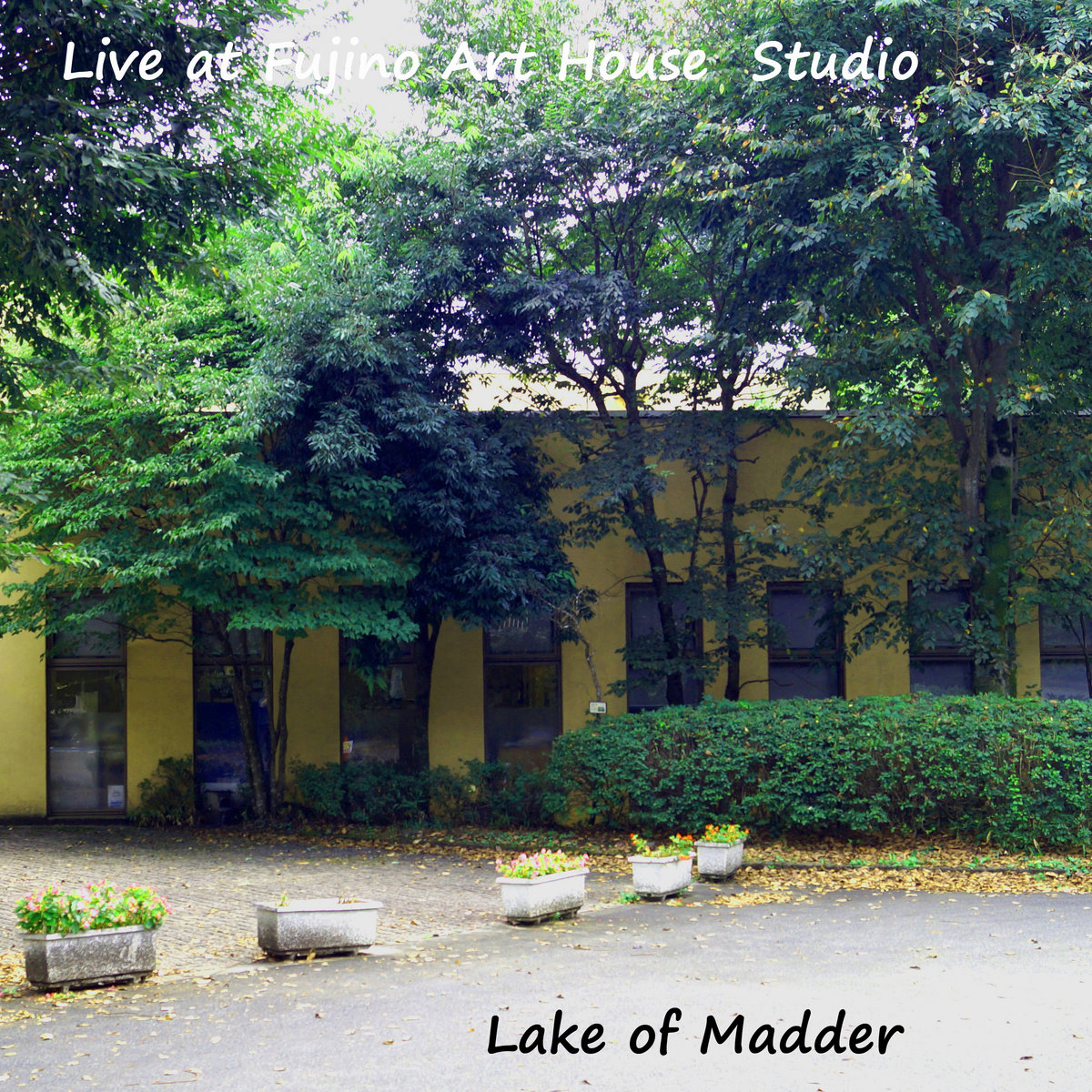 Live at Fujino Art House Studio | Lake of Madder
