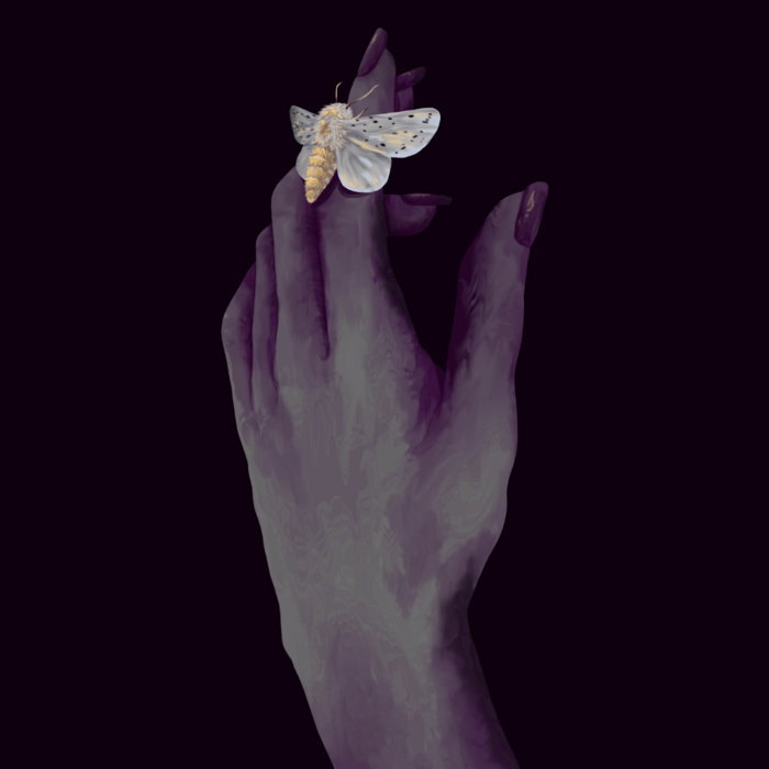 Swimming in butterflies, drowning in moths | Wiffs
