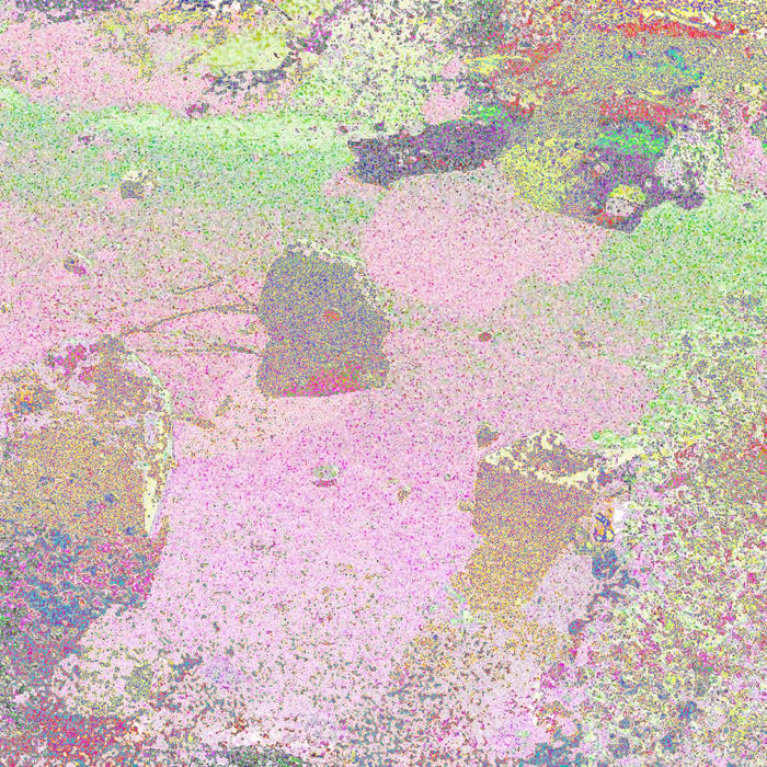 No Analysis - Digitalis (Morgan Huggins' Unofficial Analysis) | Morgan ...