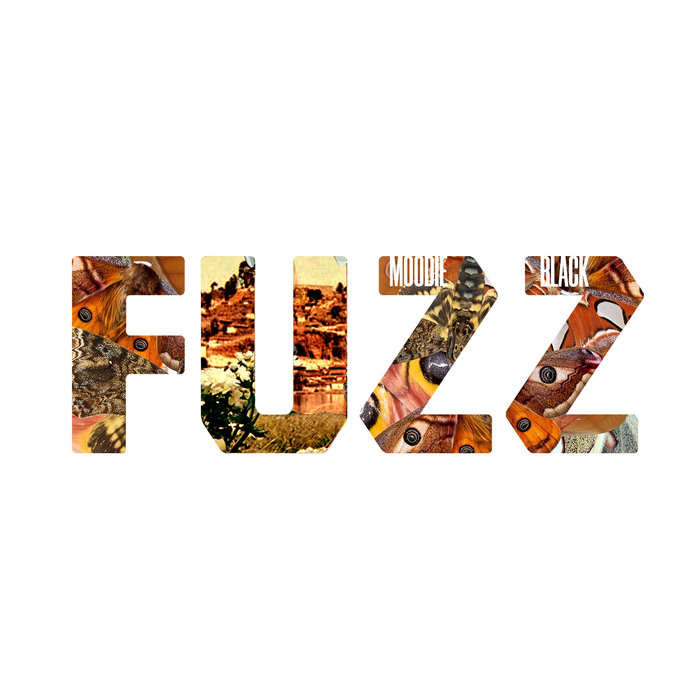 F U Z Z | Moodie Black