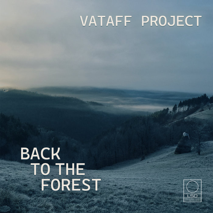 Back To The Forest | Vataff Project