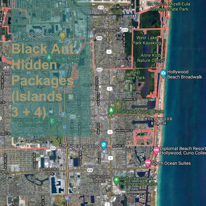 Black Ant Electronics Logo