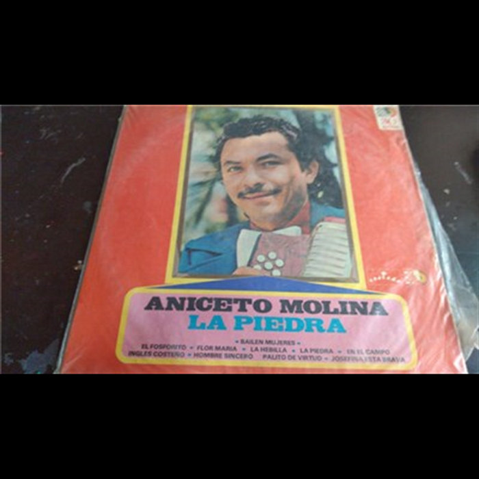 La Piedra | Aniceto Molina