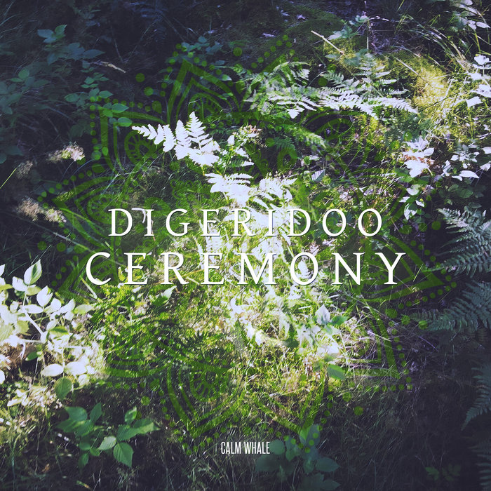 Didgeridoo Healing Ceremony - Tree of Light | Calm Whale