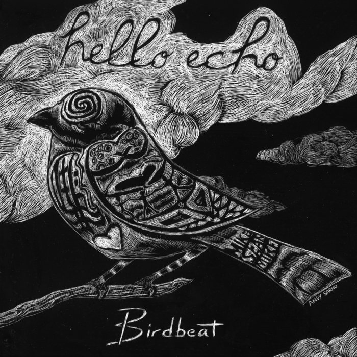 Birdbeat | Hello Echo