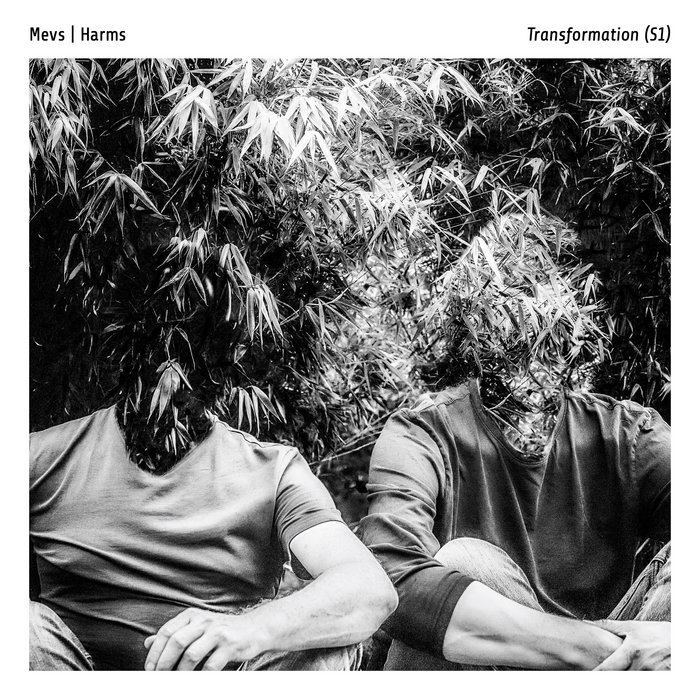 Transformation (S1) | mevs harms