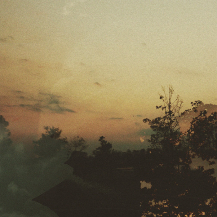 Strands of Life | Strands of Life