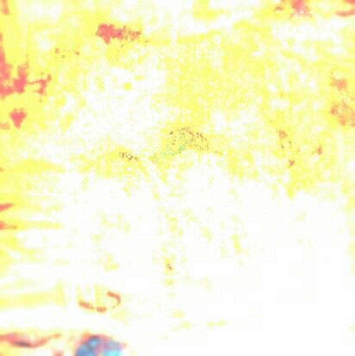 ANNIK HONORE | ANNIK HONORE