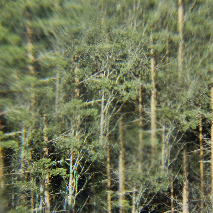 Still Haunts | Slow Clinic