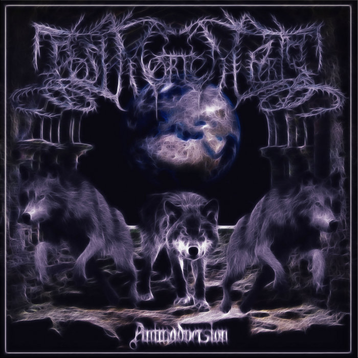 Animadversion | Post Mortem Arts