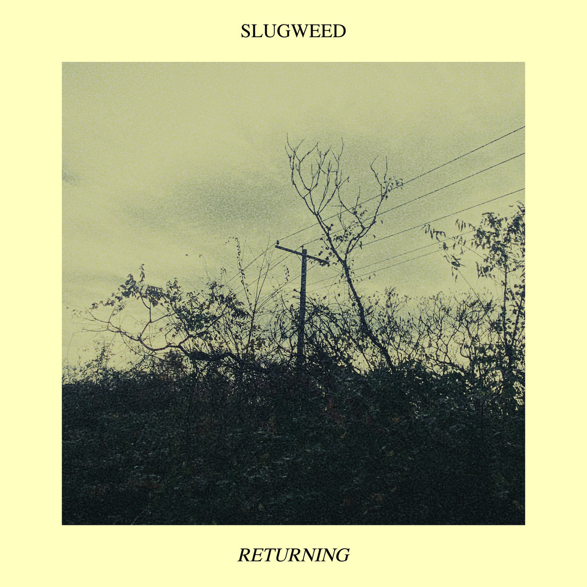 Returning - Single | SlugWeed