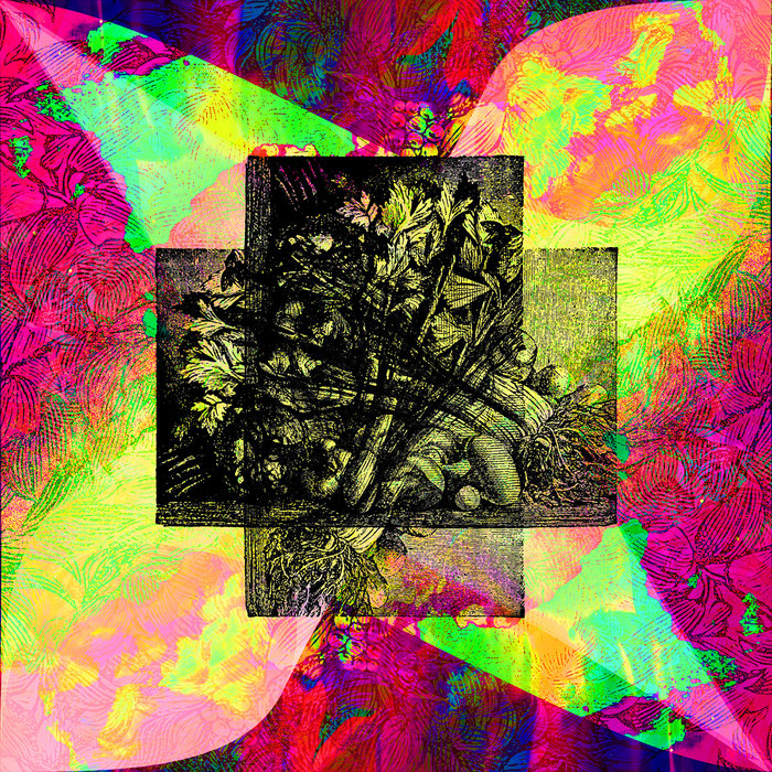 Purger | Yma | Floating Limb