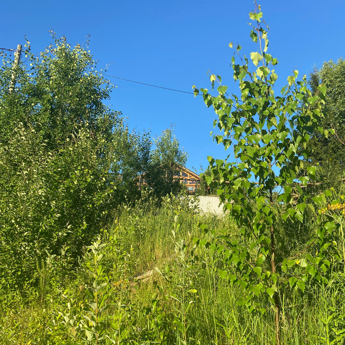 green memories | lurp sheets