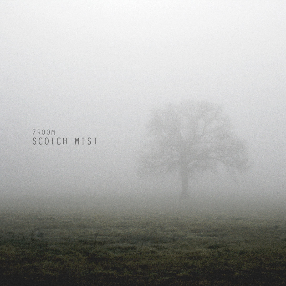 Scotch Mist | 7room