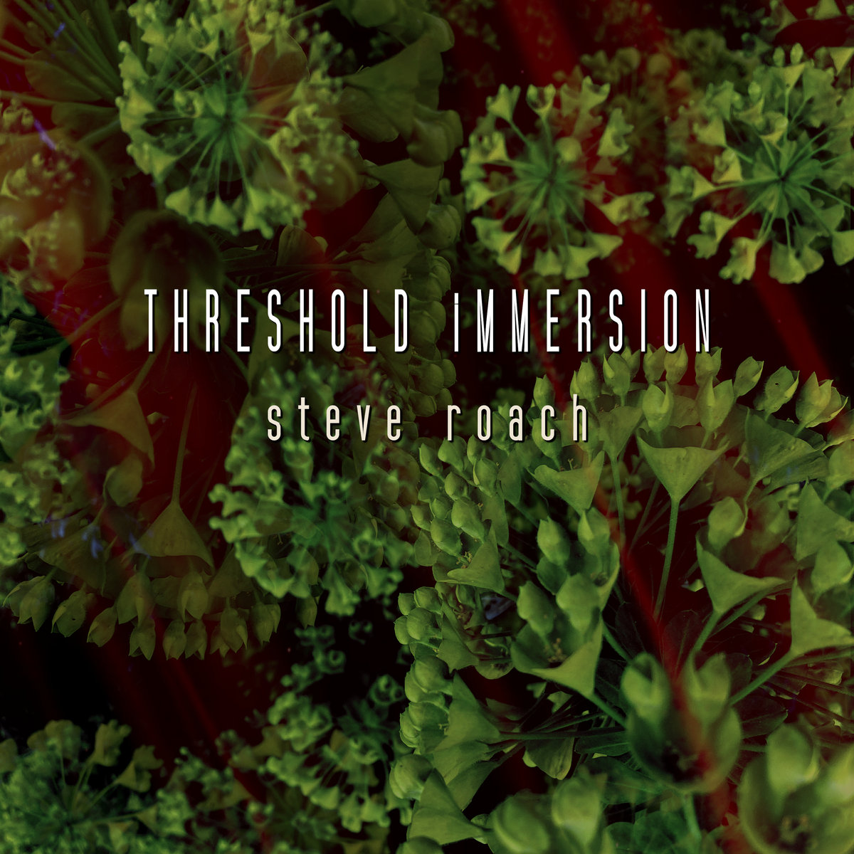 Threshold Immersion | Steve Roach Exclusive