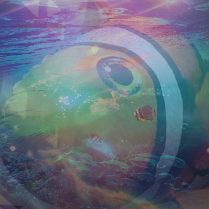 bellywave | belly | Belly