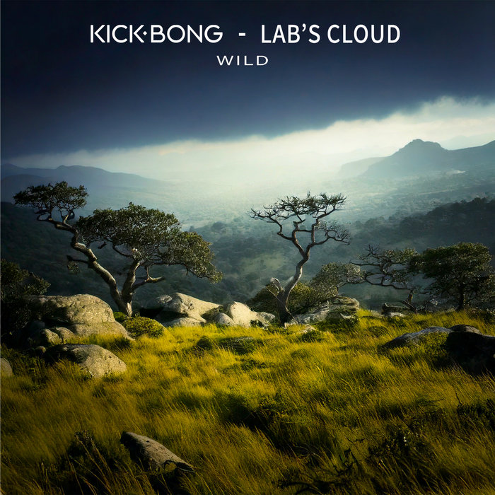 Wild | Kick Bong and Lab's Cloud | LAB'S CLOUD