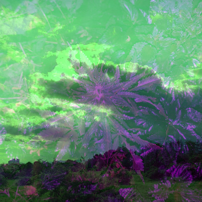 My personal Weather Report | Jasper the Filthiest