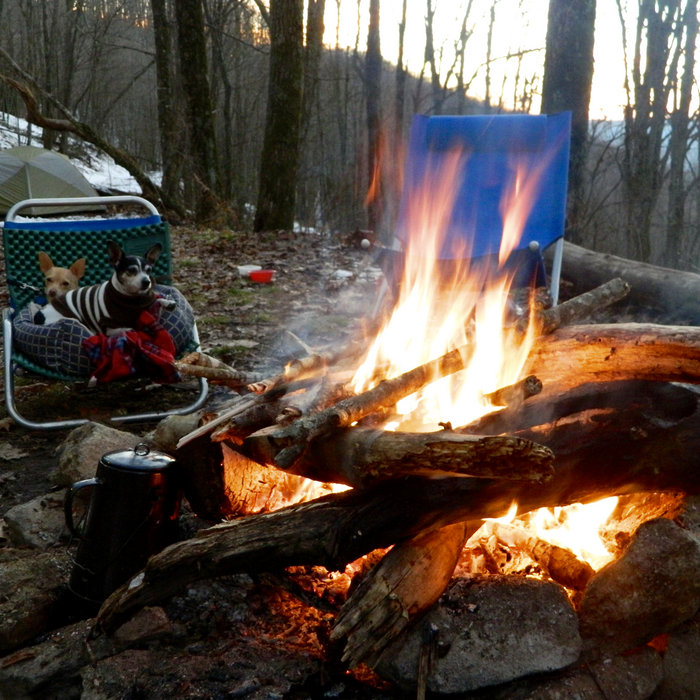 Love Told a Lie | David Rhoades