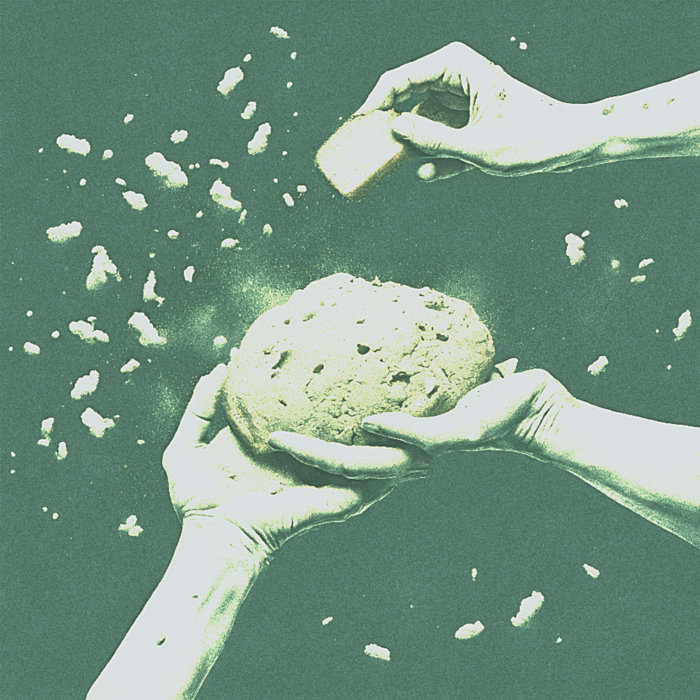 Picking Up Breadcrumbs Sun Shy 