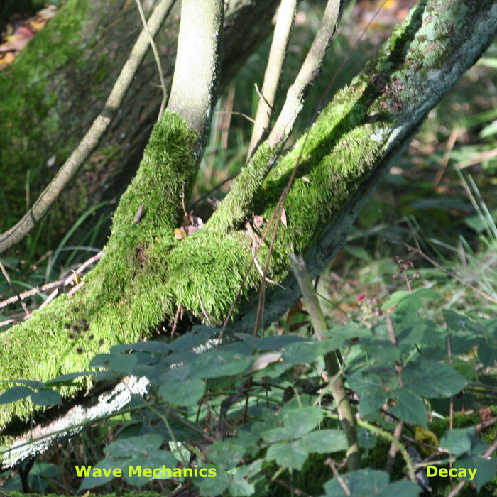 Decay | Wave Mechanics