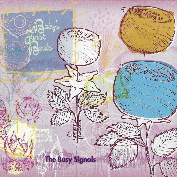 Baby's First Beats | The Busy Signals | daylily arboretum