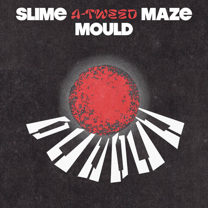 Slime Mould Maze