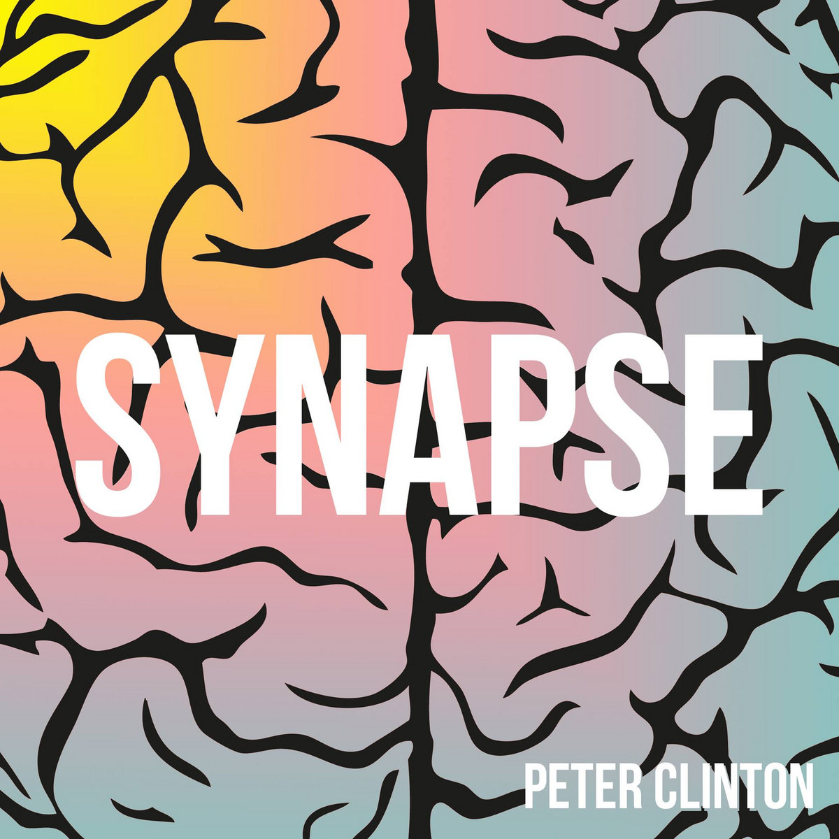 SYNAPSE (VOL I > III) | Peter Clinton | Peter Clinton