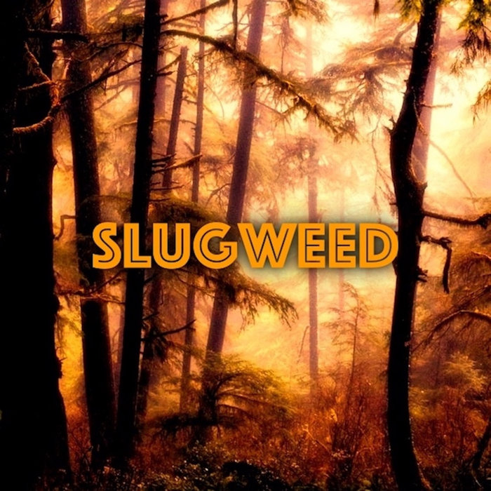 Breaking Through | SlugWeed