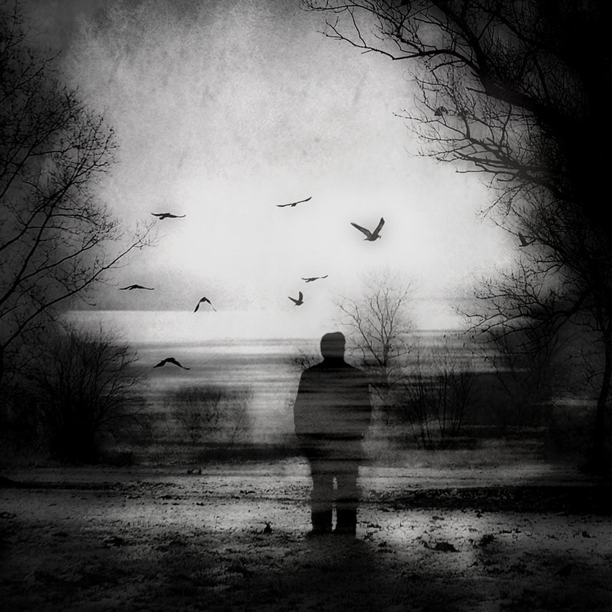 Grottoes | Исход.Blade and Bath.Cantodea Dianthus.Luna Pythonissam ...