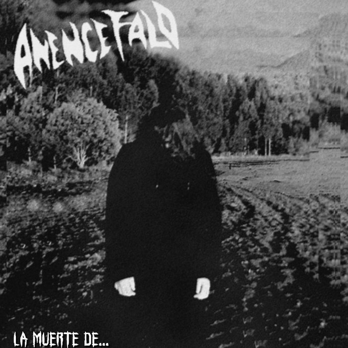 la muerte de anencefalo | anencefalo | ANENCEFALO