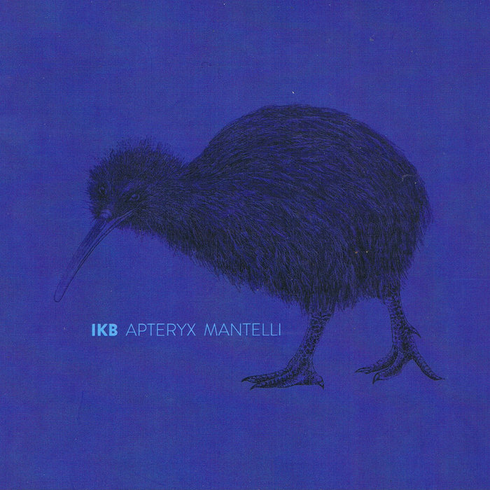 APTERYX MANTELLI | Ernesto Rodrigues IKB | Bruno Parrinha
