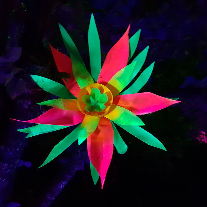 Sentient Dreams | Class War On The Dance Floor | Class War On The Dance ...