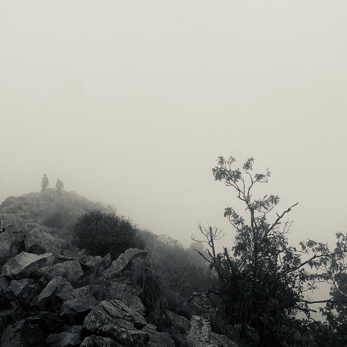 Tame the Strange w/ Scoops | Deleteeglitch