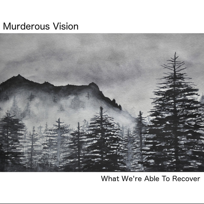 What We're Able To Recover | Murderous Vision