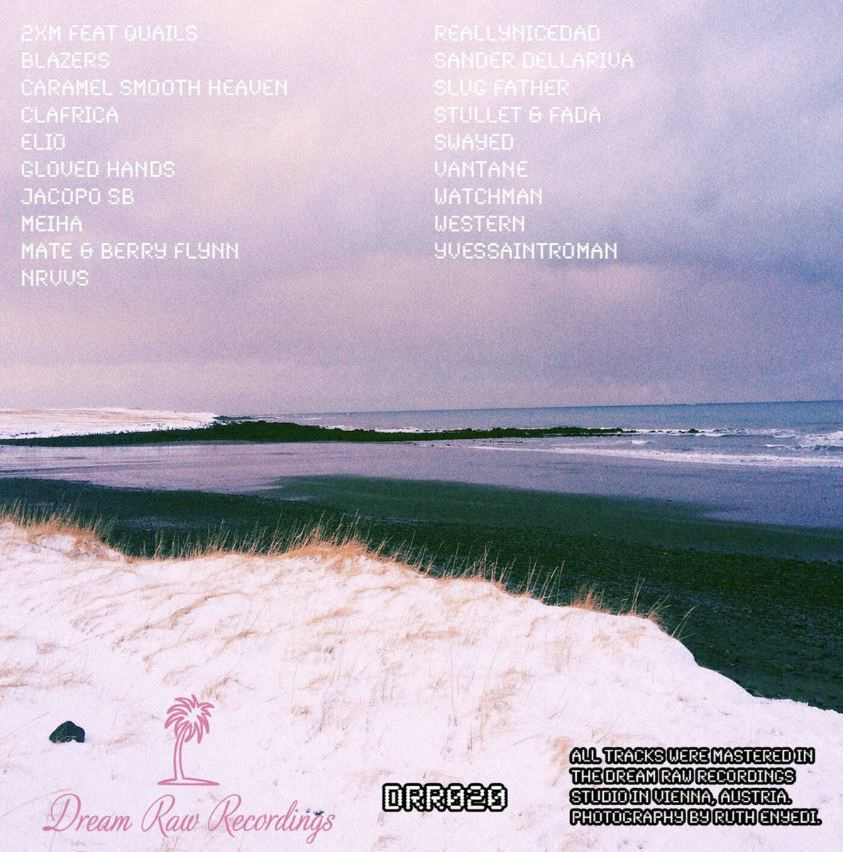 DRR020 | Various Artists | Dream Raw Recordings