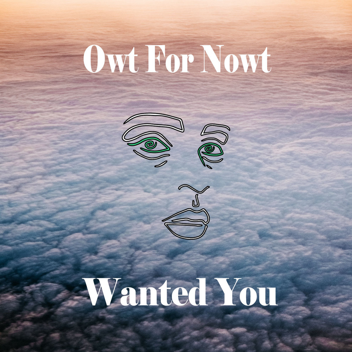 Wanted You (Extended Mix) | Owt For Nowt