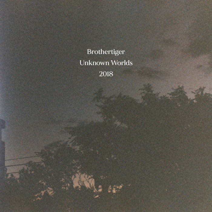 Unknown Worlds: 2018 | Brothertiger