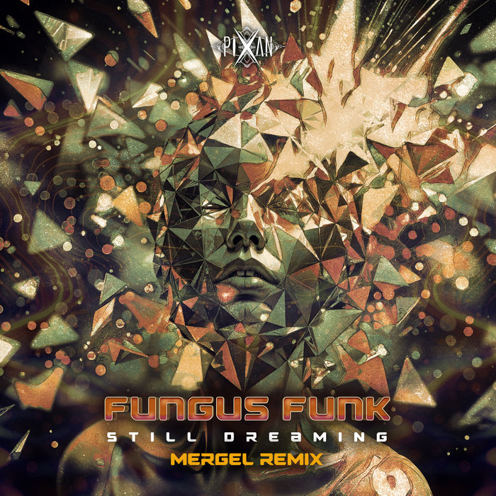 Fungus Funk-Still Dreaming (Mergel rmx) | Pixan Recordings
