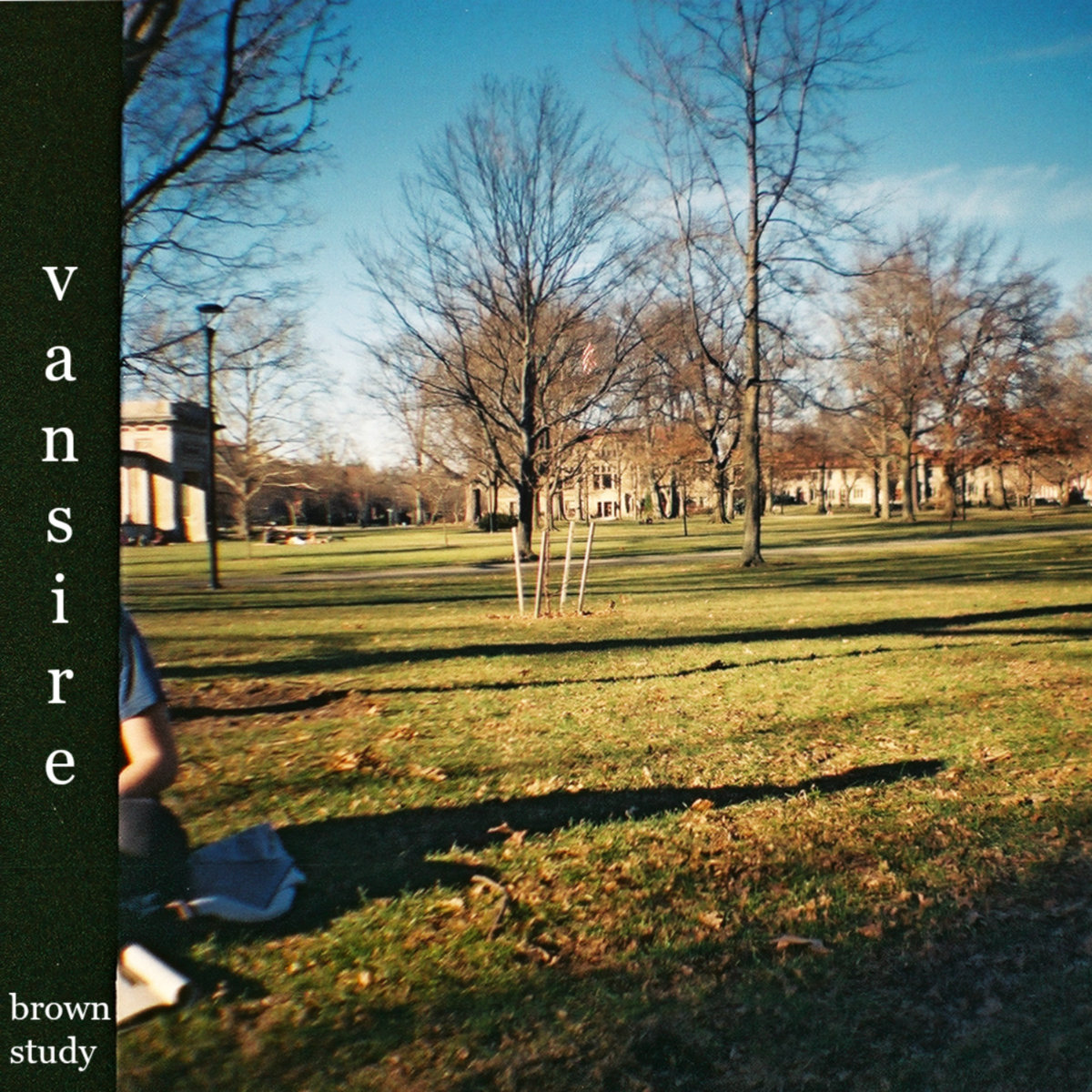 Brown Study [Single] | Vansire
