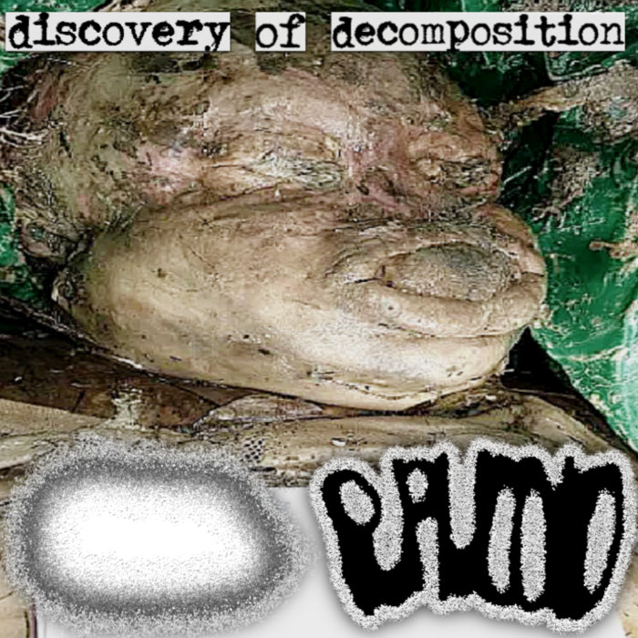 Chytridiomycota / Puruloid Split | Puruloid, Chytridiomycota | Puruloid