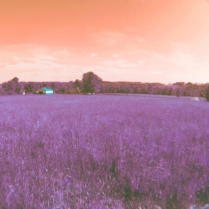 mueller | Razor Boomarang