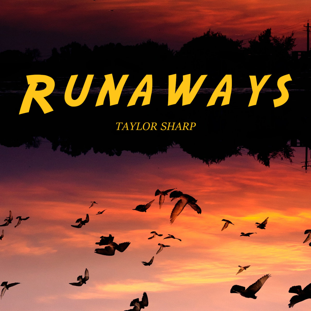Runaways | Taylor Sharp