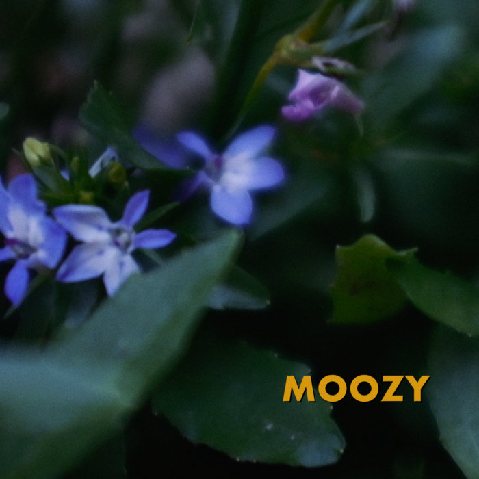 Moozy EP | Moozy